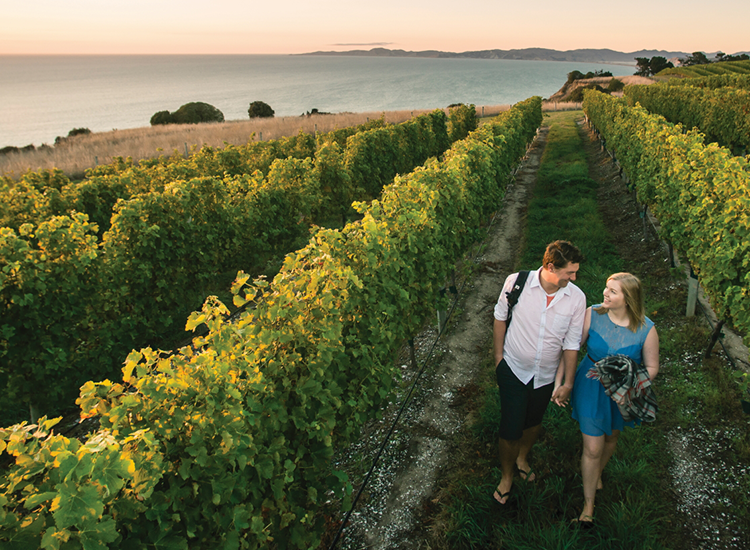 Airpoints™ Store Online | Shop Fashion, Beauty, Home & More | Air New ...