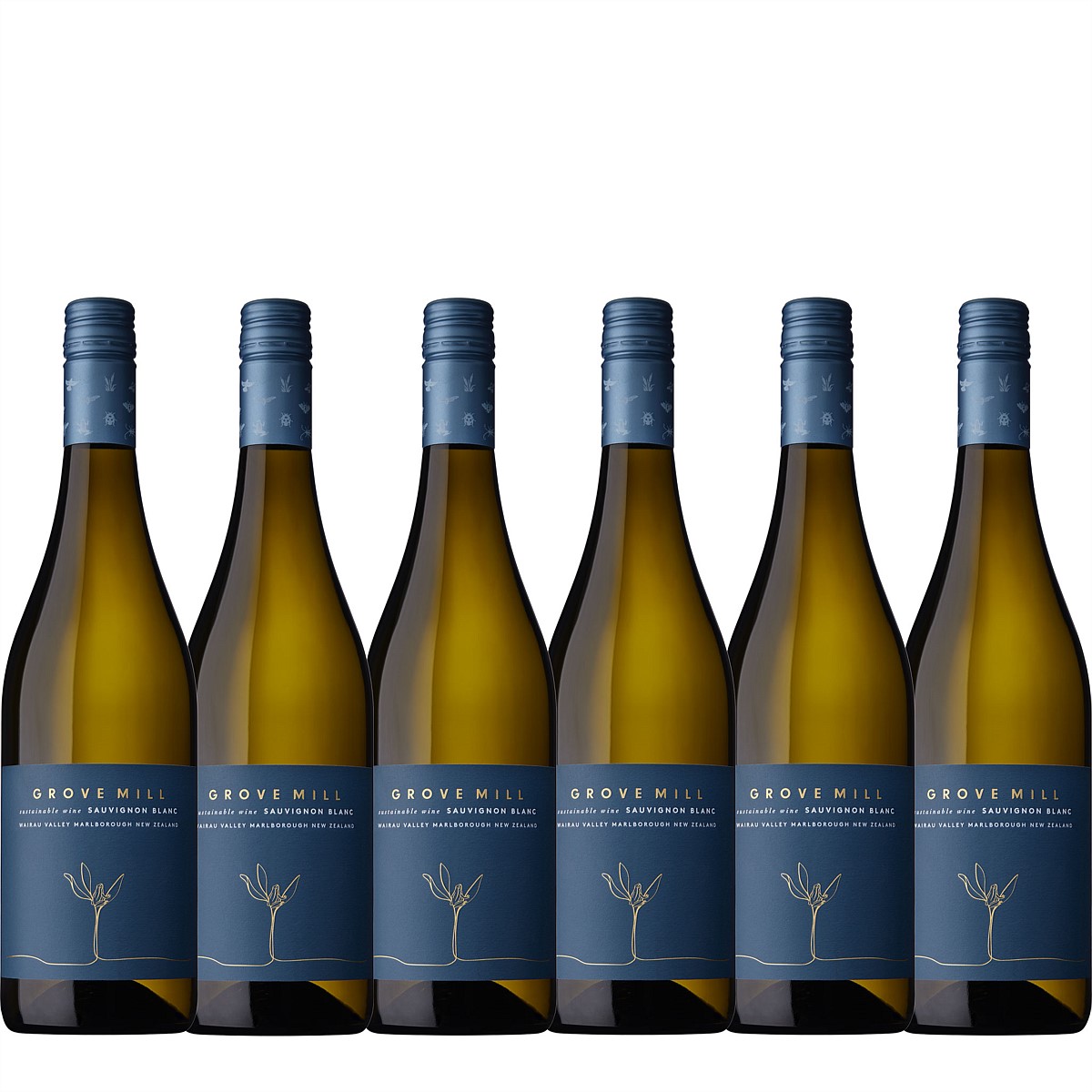 White - Sauvignon Blanc 2022