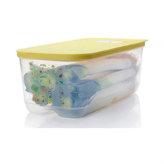 Buy Tupperware VentSmart Rectangle Large High 6.1L Container (Set of 4 ...