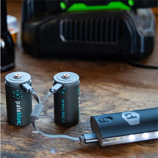 Buy D cell USB-C Rechargeable Batteries, 2-Pack | Shop at the Airpoints ...