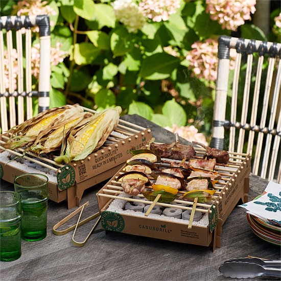 Buy Single Use BBQ x2pk | Shop at the Airpoints™ Store