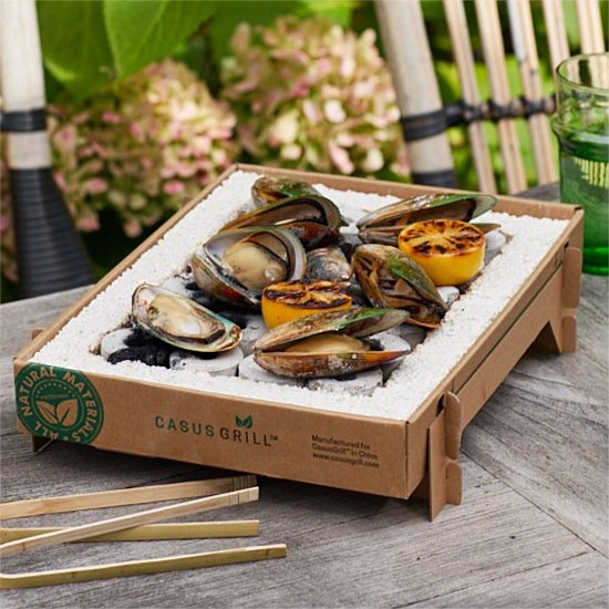 Buy Single Use BBQ x2pk | Shop at the Airpoints™ Store